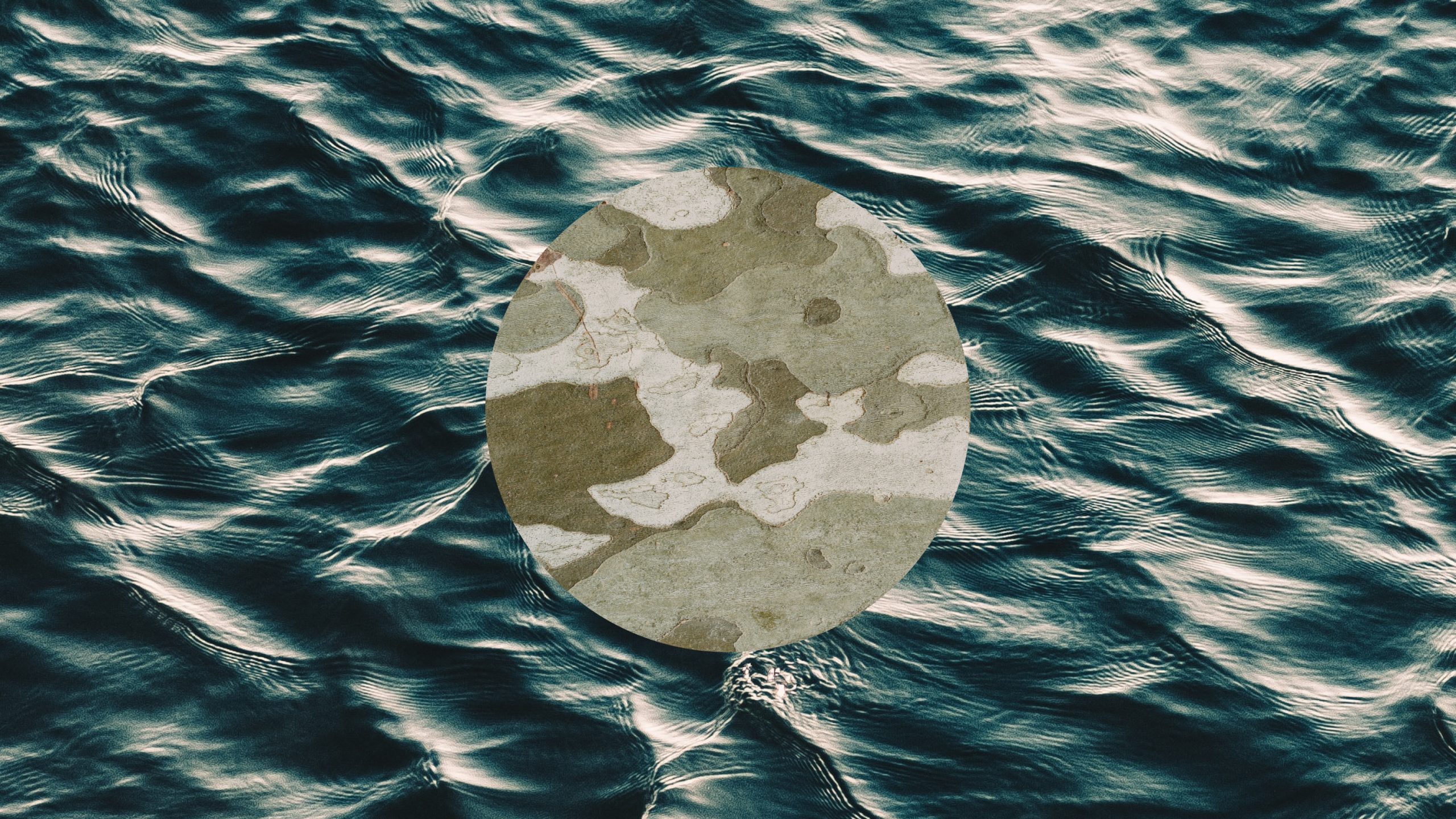 Mindfulness and Shifting Into Neutral - Drew Buss